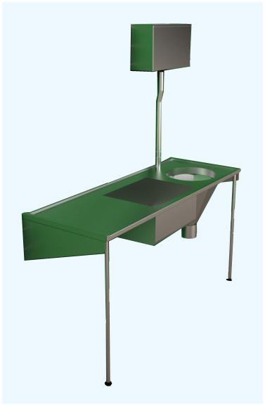 Combination Sink and Hopper